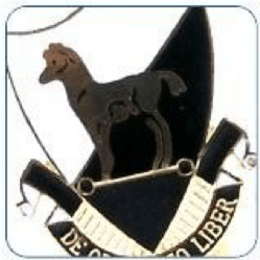 The Definitive Guide To Lapel Pins | The Pin People