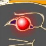 The Definitive Guide To Lapel Pins | The Pin People