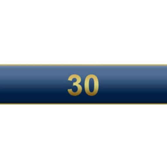 30 Years Of Service - Blue Citation Bar | The Pin People