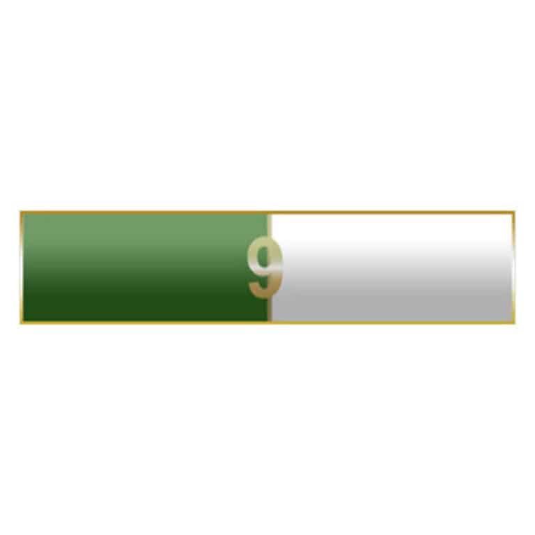 9 Years Of Service Green And White Citation Bar | The Pin People