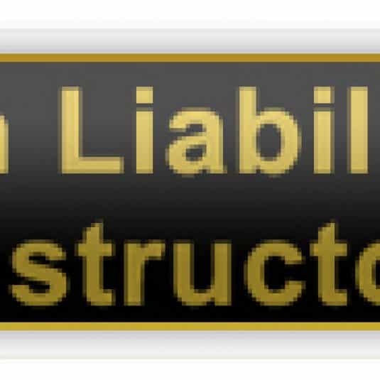 8 Years Of Service Green And White Citation Bar | The Pin People