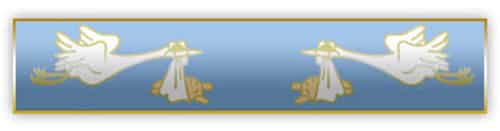 Stork Delivery Bar - Blue | The Pin People