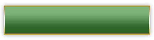 Solid Green - Citation Bar | The Pin People